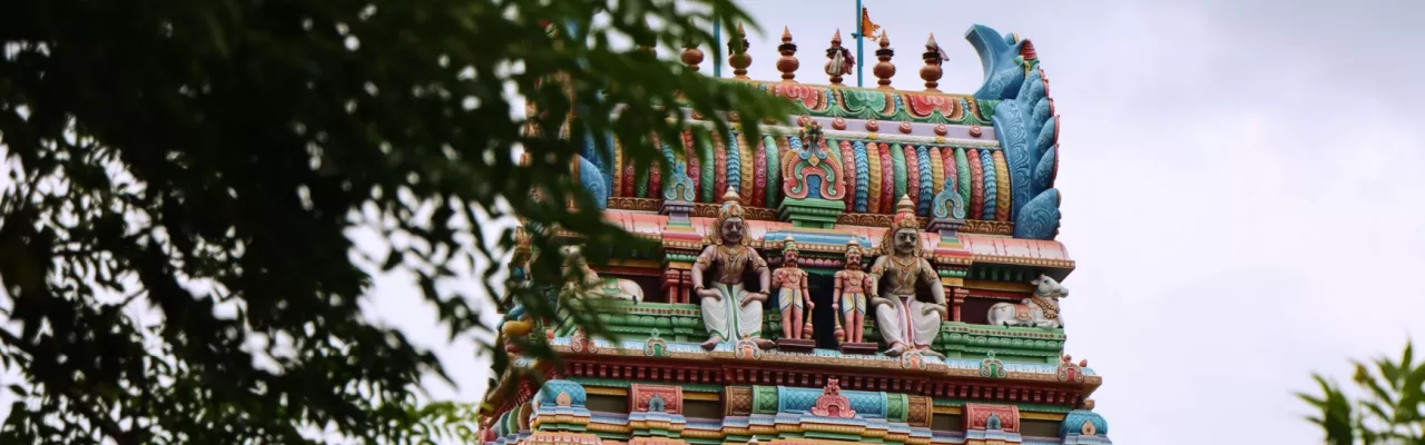 HOTEL GOLDEN TULIP NEW DELHI - Hari Nagar